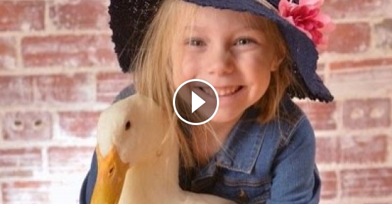 Little Girl Calls For Duck - Even Her Parents Were Shocked At His ...