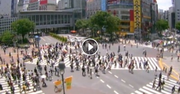 This Live Stream Shows How The Streets In Tokyo Look Like | Klipland.com