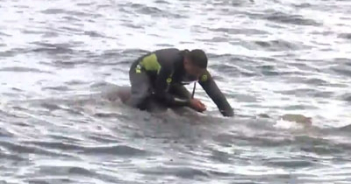 The Sri Lankan Navy Miraculously Rescued An Elephant Drowning In The ...