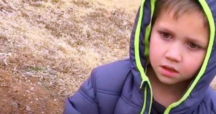 Little Boy Searches For Missing Dog For Weeks Mom's Footage When They ...