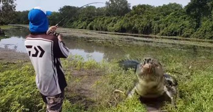 'Run Daniel, Run': Crocodile Attacks Fisherman And Steals His Fish ...