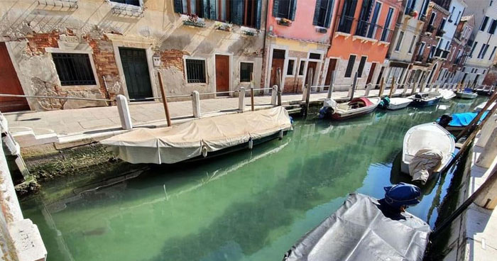 Water In Venice Canals Goes Crystal Clear After Coronavirus Lockdown ...
