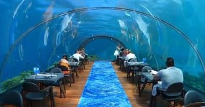 Would You Eat Food In This Underwater Restaurant? | Klipland.com