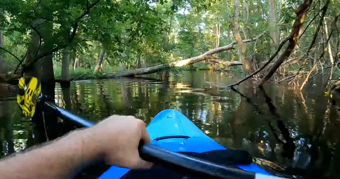 Kayaker Captures Frightening Run-In With Alligator In North Carolina ...