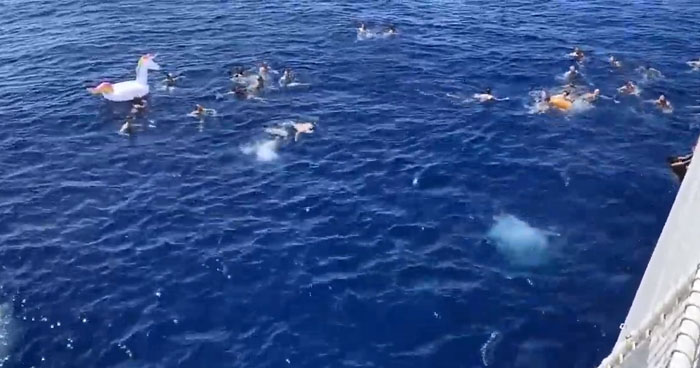 Coast Guard Opens Fire On Shark While Crew Swims In Sea | Klipland.com