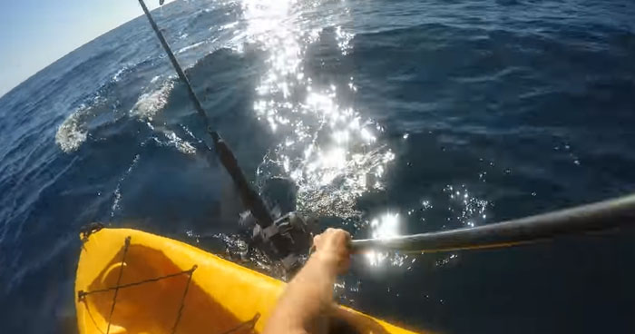 Kayak Fisherman Fights Off Aggressive Hammerhead Shark | Klipland.com