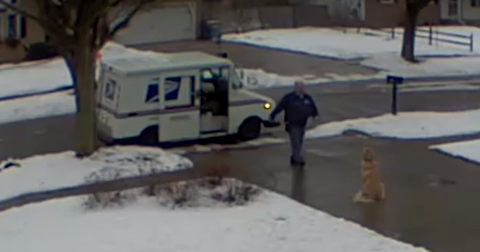 Dog And Mailman Have The Sweetest Relationship | Klipland.com