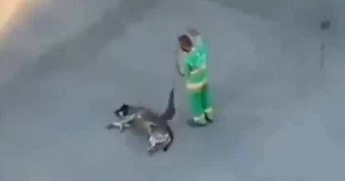 Street Sweeper Can't Stop Showing Affection To A Stray Dog | Klipland.com