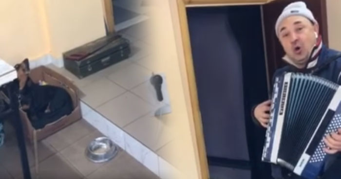 Vet Goes Viral Performing A Song Together With A Dog | Klipland.com