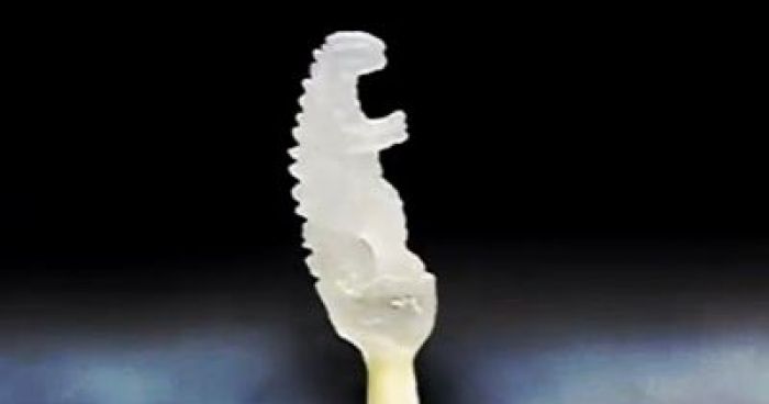 Godzilla Carved From A Grain Of Rice | Klipland.com