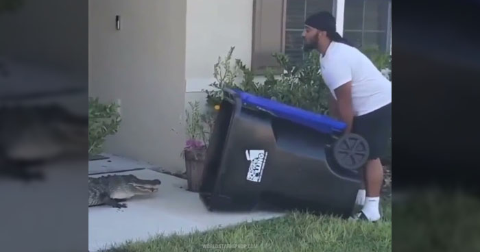 Florida Man Catches Live Gator Using His Trash Can | Klipland.com