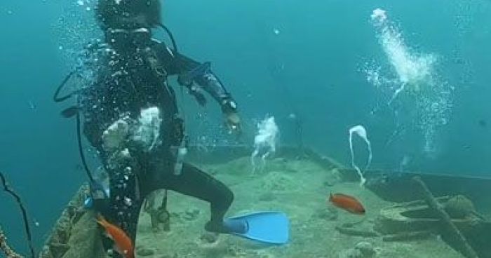 Diver Shows How To Create Air Rings Underwater | Klipland.com