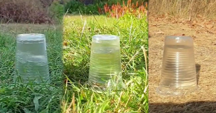How Long It Takes Water To Soak Into Parched Ground | Klipland.com