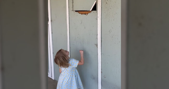 Little Girl Knocks On The Door And Horse Answers | Klipland.com