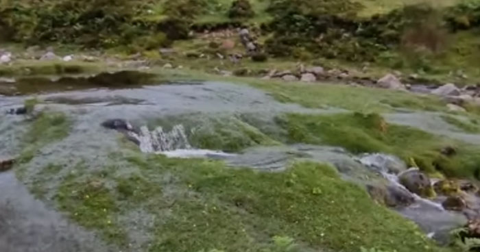 Man Discovers A Newly Formed Natural Spring | Klipland.com