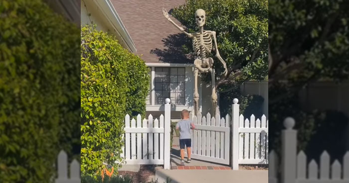 Boy Doesn't See Giant Skeleton Until It's Too Late | Klipland.com
