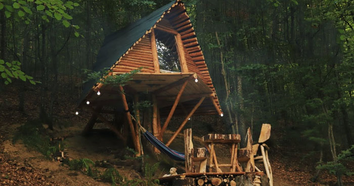 Man Builds A Tree House, Impresses Many With His Woodworking Skills ...