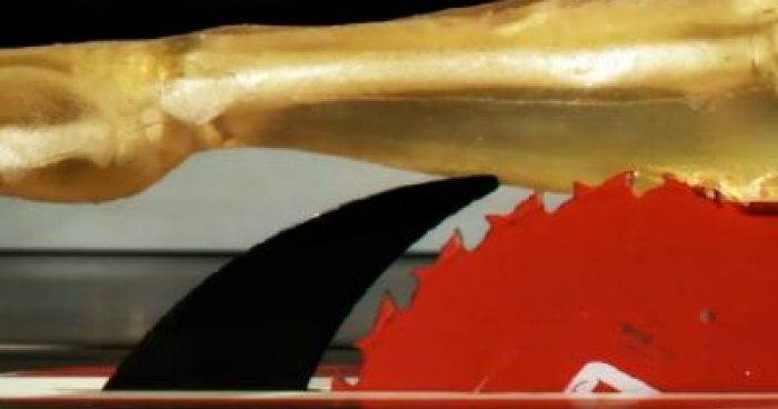 Woodworking Injuries In Slow Motion Klipland