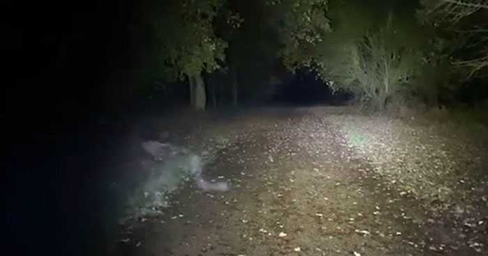Dog-Walking Couple Sees Demonic Figure Scurry Across Path | Klipland.com
