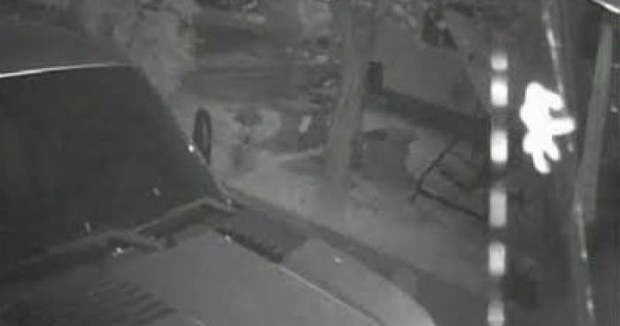 Security Camera Captures Spider Building Its Web | Klipland.com