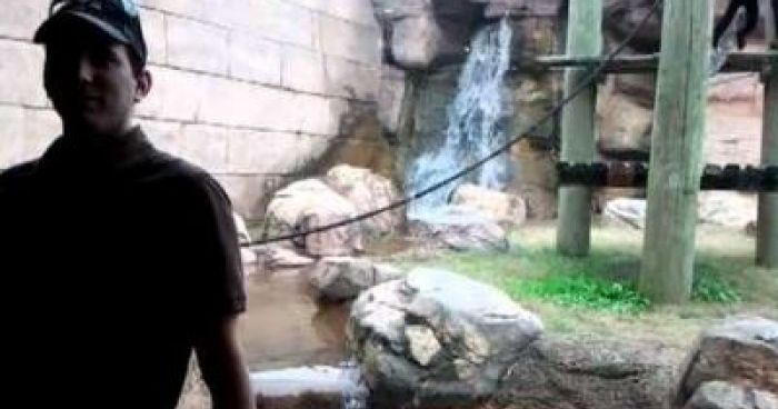Jealous Alpha Male Monkey Charges At A Man | Klipland.com