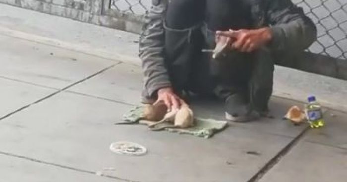 Peruvian "Rat-Man" Performs On The Streets Of Lima | Klipland.com