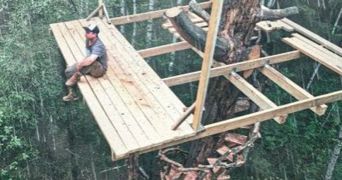 Man Builds A Huge Tree House | Klipland.com