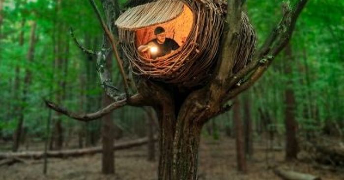 Bushcraft Tree House In The Woods | Klipland.com