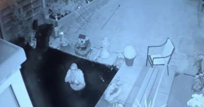 Grandma Goes For A Late Night Dip | Klipland.com