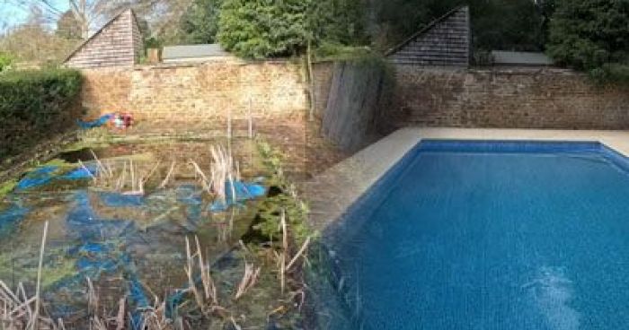 Full Transformation Of The Swamp Pool | Klipland.com