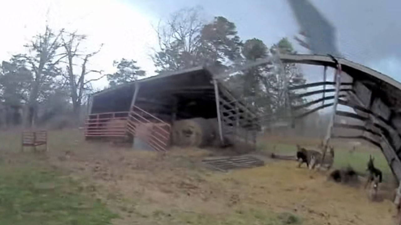Storm destroys barn, donkeys survive unharmed | Klipland.com